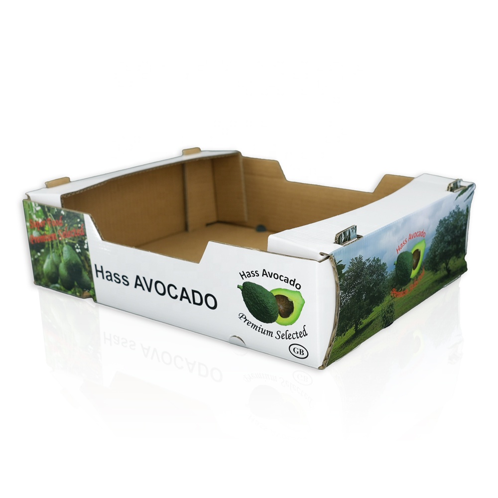 BDL Wholesale Corrugated Cardboard Fruit Vegetable Packaging Carton ...