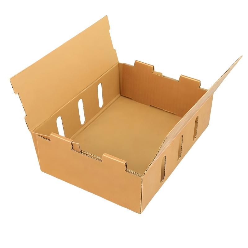 BDL Waterproof Corrugated Carton Box for Fruits Vegetables Seafood ...